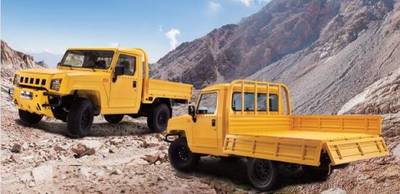 BAW Warrior Single Row Pickup, wholesale General Cargo Truck on ...