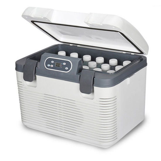 China Fridge Cooler Box Car Fridge, wholesale Car Refrigerator on ...