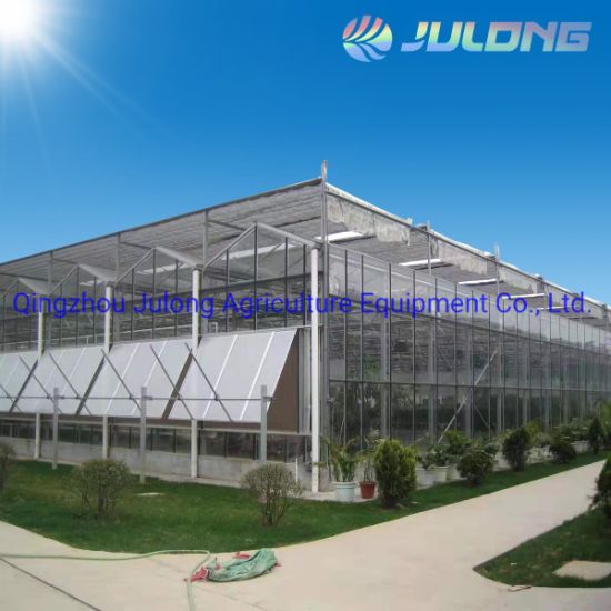 China Venlo Type Glass Dutch Greenhouse for Vegetables Tomato Flowers ...