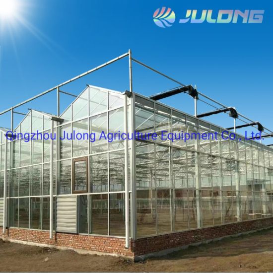 China Venlo Type Glass Dutch Greenhouse for Vegetables Tomato Flowers ...