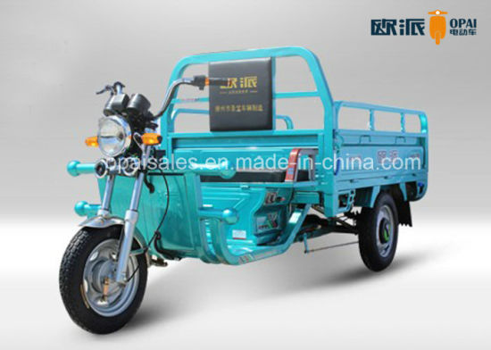 China Electric Tricycle EEC Tubless Tire Electric Cargo Trike Headlight ...
