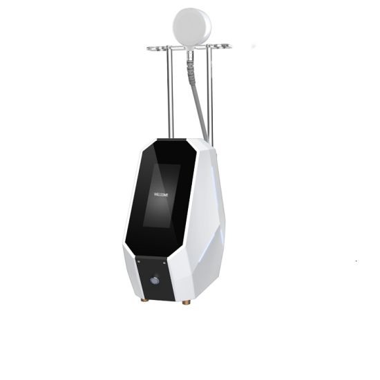 China Portable Teslasculpt Electromagnetic Emsculpt Machine, wholesale ...
