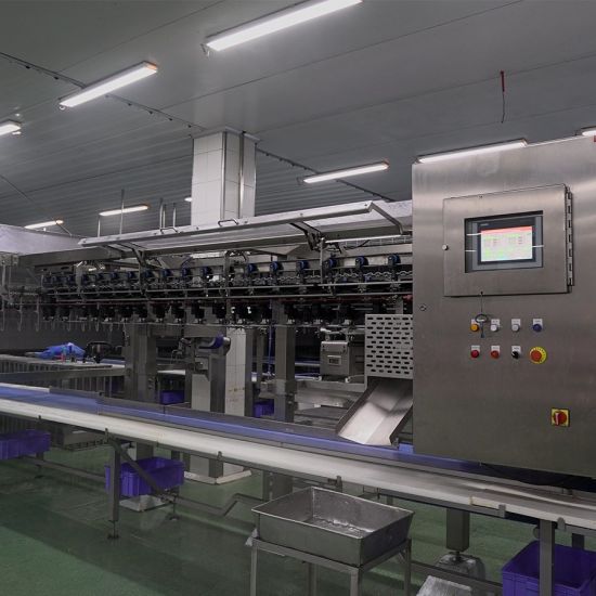 China Poultry Processing Chicken Slaughtering Equipment Chicken ...