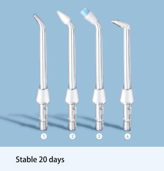 China Portable Water Flossing System Portable Water Dental Flosser ...