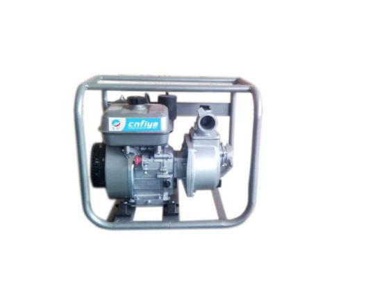 China Fy20wp 2 Inch Professional Gasoline Water Pump, wholesale Water ...