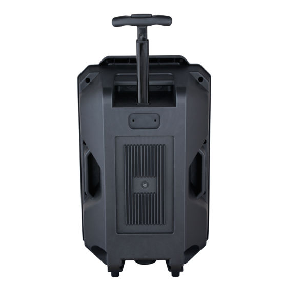 China 8" Mini Indoor Wireless PA System Portable Promotion Speaker with ...