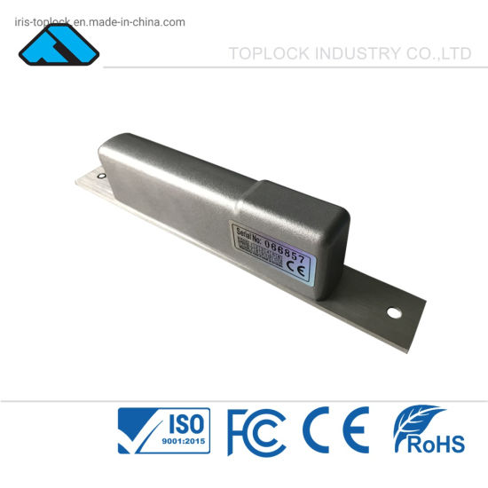 China 12V DC Smart Lock Access Control System Electric Bolt Lock ...