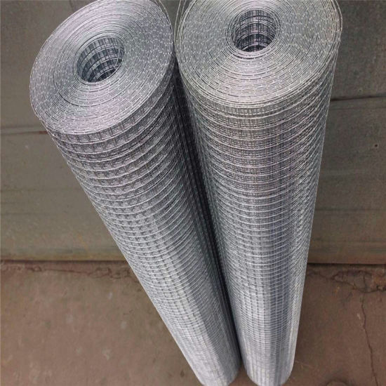 China Bwg16 Galvanized Welded Wire Mesh in Rolls, wholesale Welded Wire ...